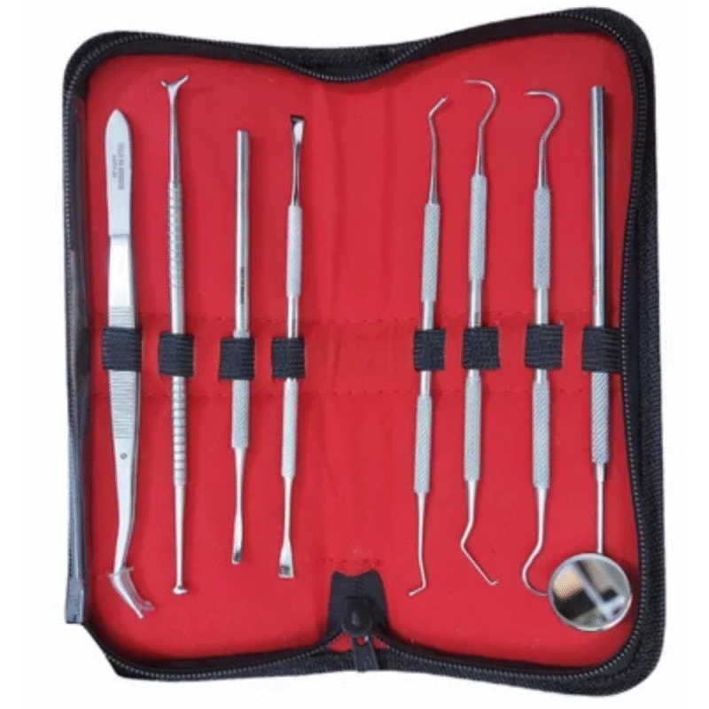 Stainless Steel Dental Instrument Kit - Surgical Mark