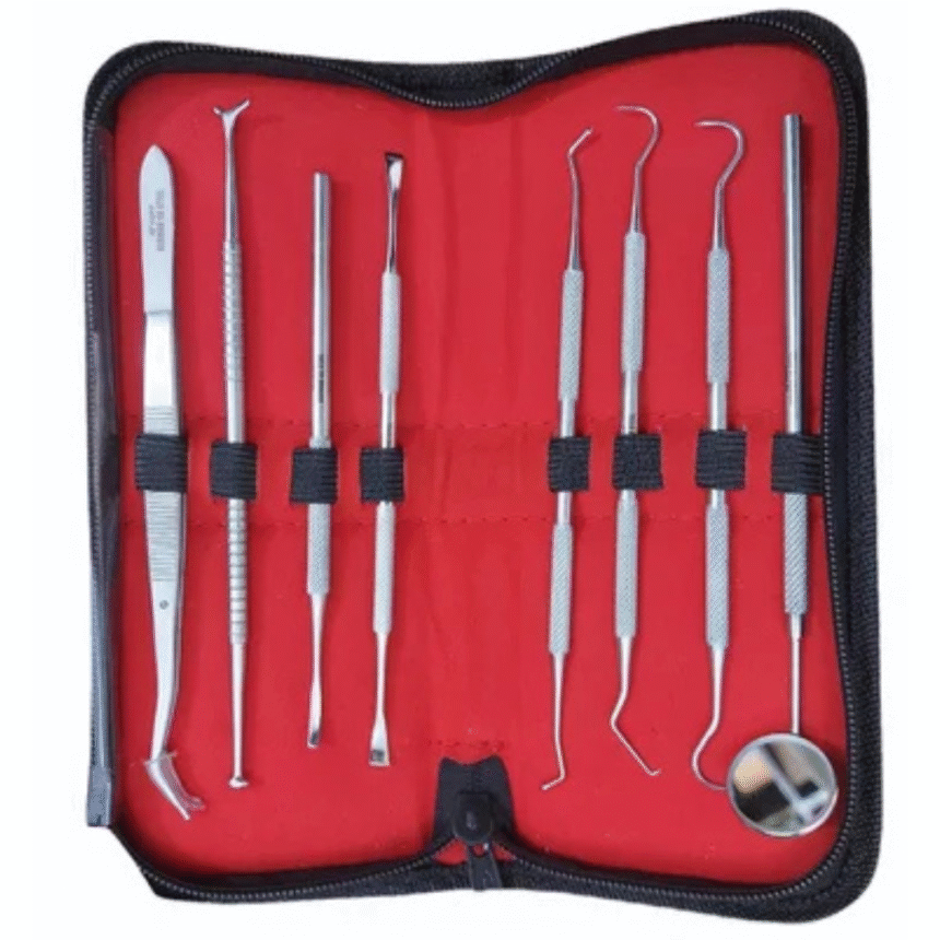 Stainless Steel Dental Instrument Kit - Surgical Mark