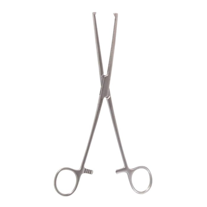 Neurosurgery Surgical 8¾” Curtis Tissue Forceps (Serrated, 1×2 Teeth ...