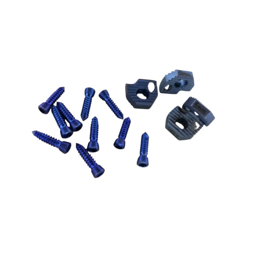 Cervical Cage Fusion Spine Titanium 5mm with Locking Screws – 13 Pcs ...